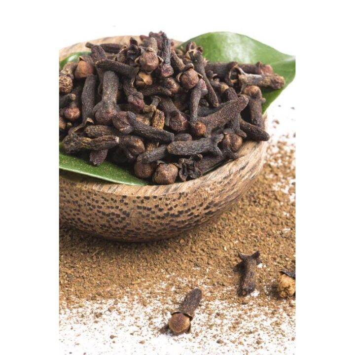 Pokok Cengkih real plant hotselling indoor outdoor rare exotic pokok ...
