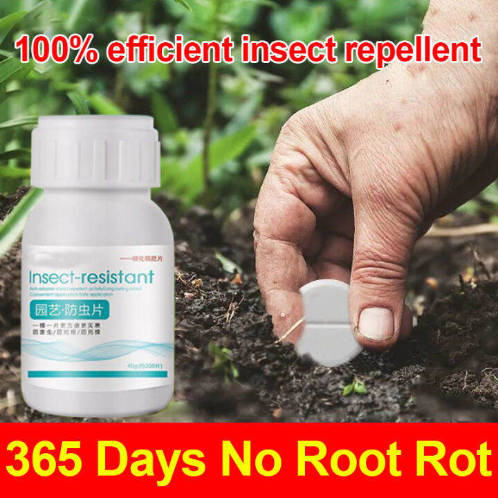 365 Days No Root Rot Pesticide for plants 200 Tablets Only kills ...