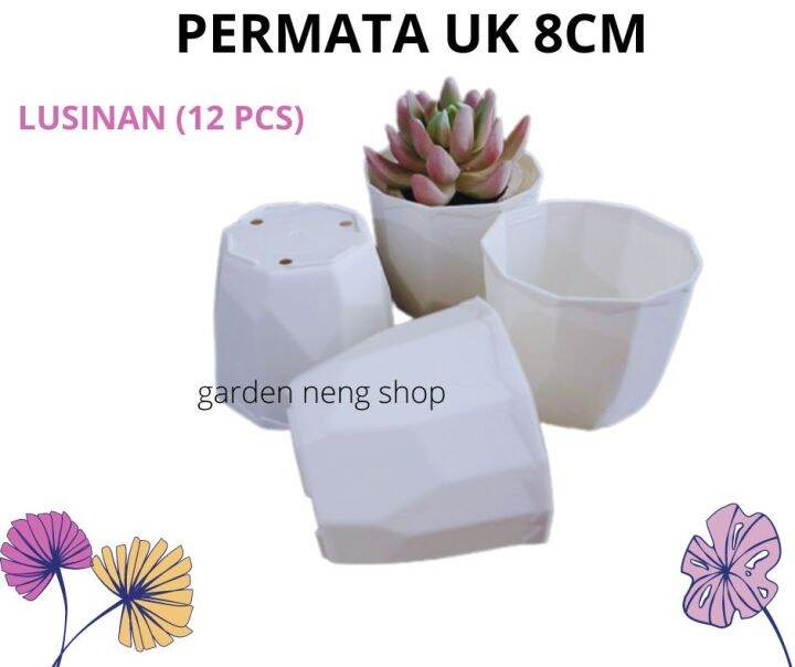 LUSINAN ( 12 PCS ) Pot permata 8 putih pot kecil 8 cm kaktus mungil ...