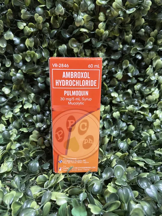 Pulmoquin Syrup Mucolytic for Pets 60ml | Lazada PH