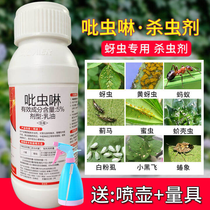 Imidacloprid insecticide succulent mealybugs small white medicine ...