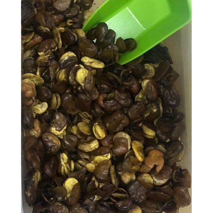 Lvanka Popbeans/Fried Patani (1kilo) | Lazada PH