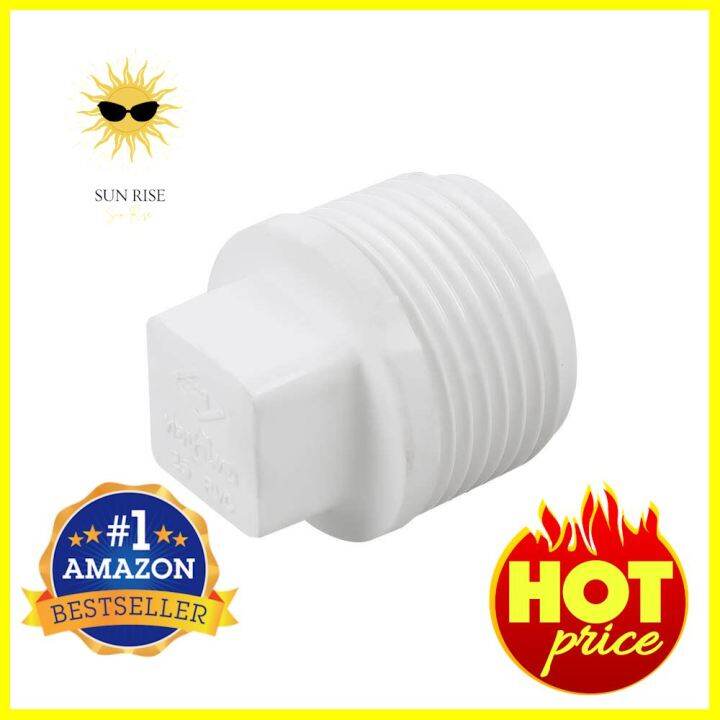 ปลั๊กอุดเกลียวนอก ท่อน้ำไทย 1 นิ้ว สีขาวMPT END CAP THAI PIPE 1IN WHITE ...