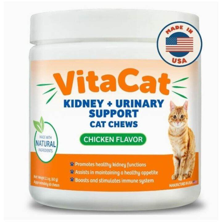 Vita cat kidney+ urinary support cat made in usa jual per pcs | Lazada ...