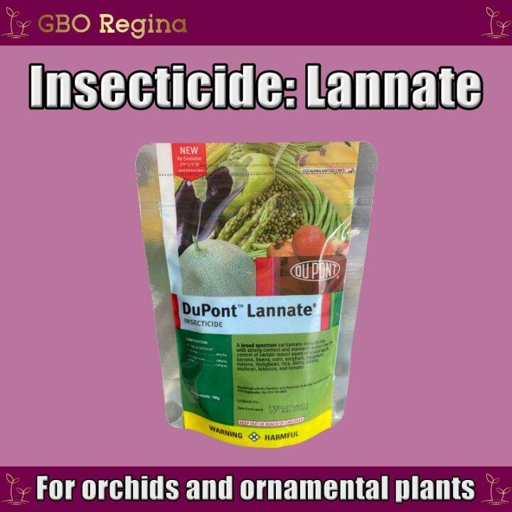 Plant Supplement: Insecticide: Lannate 100g | Lazada PH