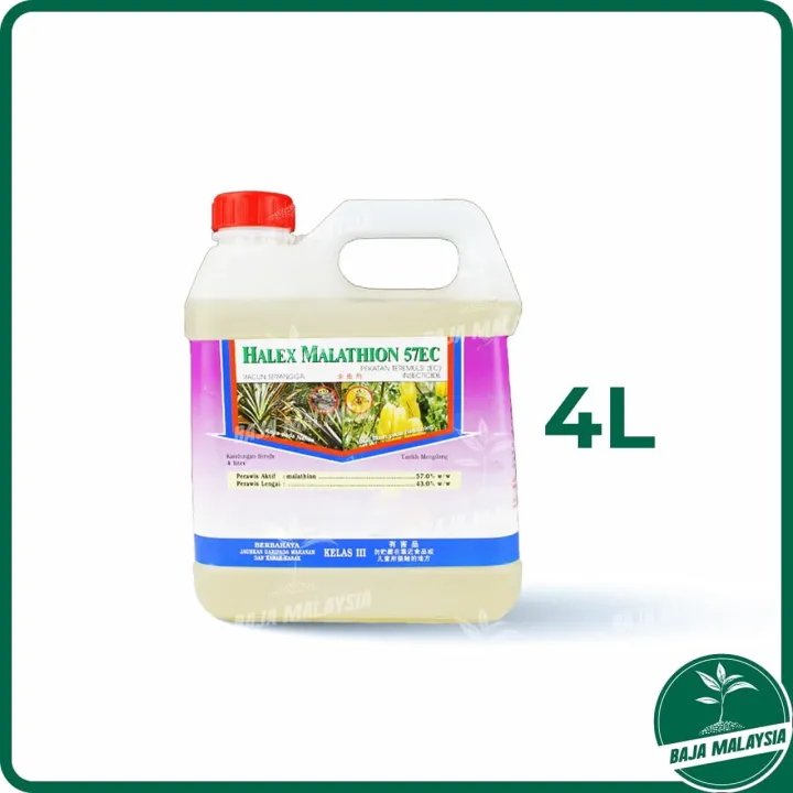 MALATHION 57% Racun Serangga Tanaman 4 LITER | Lazada