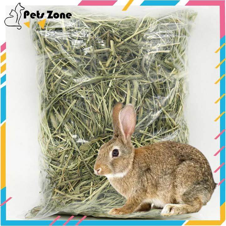 Rabbit Guinea Pig Timothy Hay 500g | Lazada PH