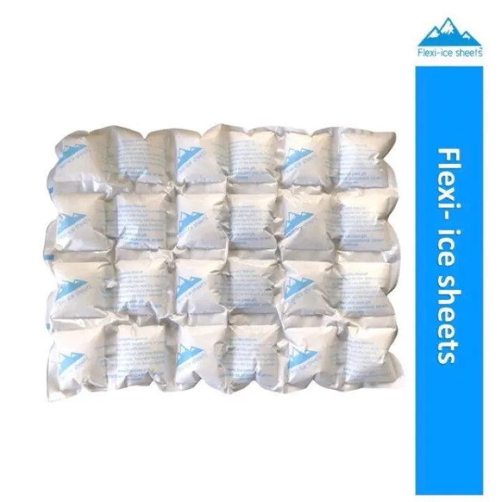 Flexi ice 2-ply 6x4 Ice sheets (Gel Ice Pack Substitute) | Lazada PH