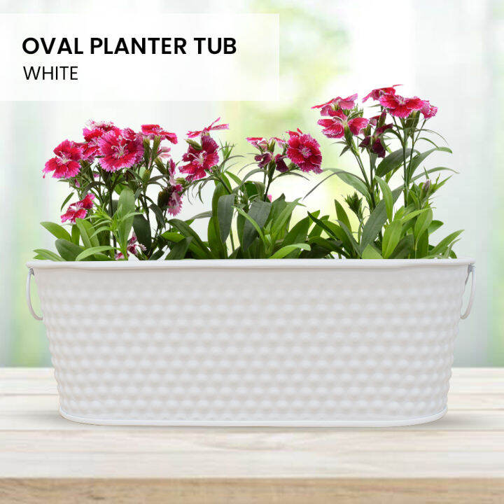 Home Gardening Galvanized Metal Farmhouse Oval Bucket Design Planter ...
