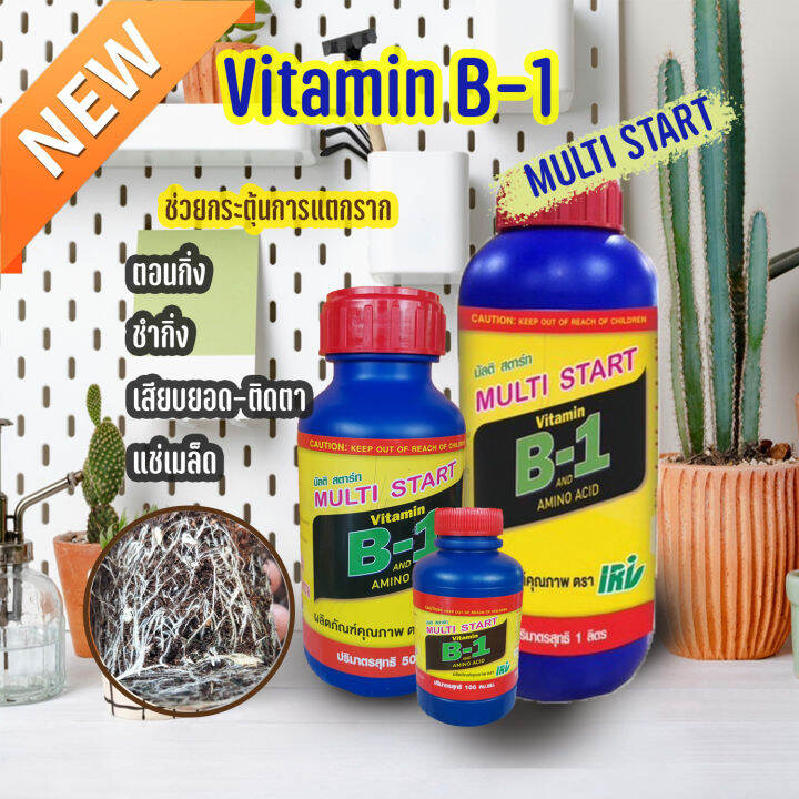 ส่งใว B-1 Multi start Vitamin เร่งการผสมเกษร+แตกรากเร็ว+เยอะ แก้ปัญหา ...