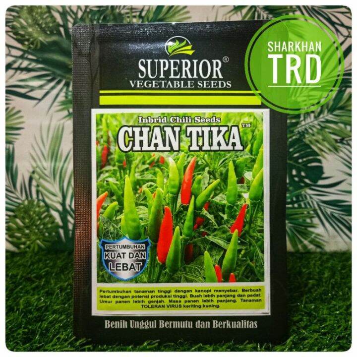 Paket 10g CHAN TIKA Superior Vegetable Seeds Indonesia Biji Benih Cili ...