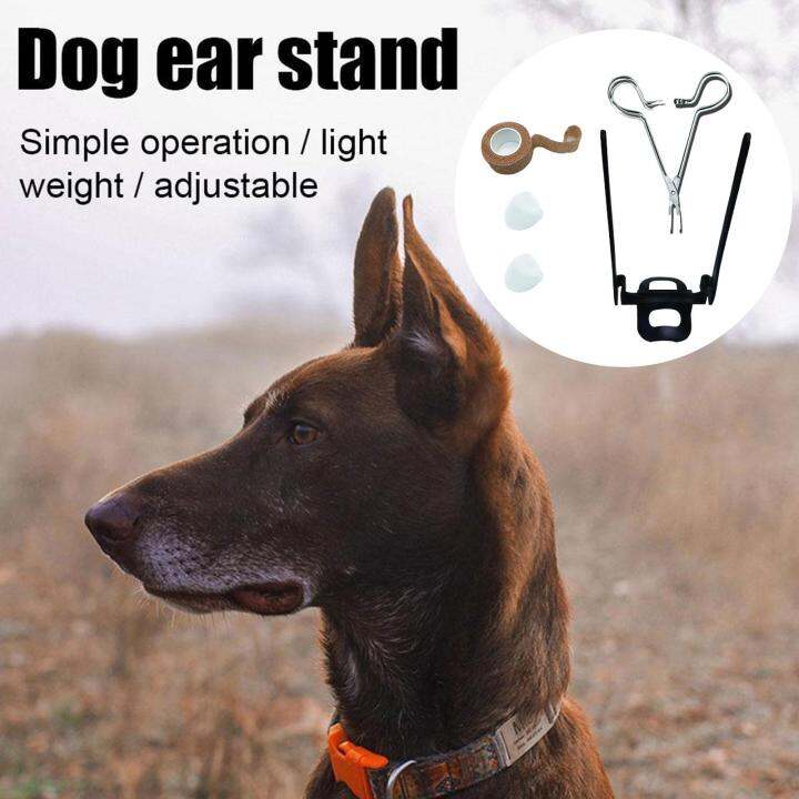 Dog Ear Stand Up Corrector Pet Dog Ear Lifter Safety Dog Pinscher Tools ...