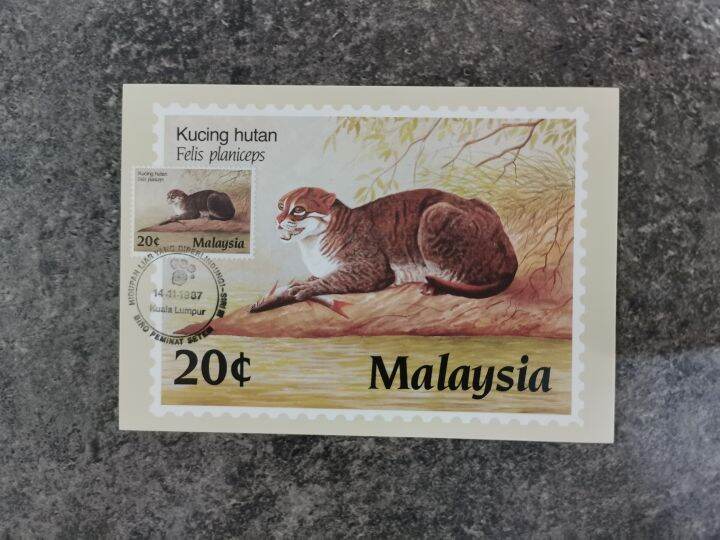 1987 Post Office Stamp Card - Felis Planiceps / 1987 Kad Setem Pejabat ...