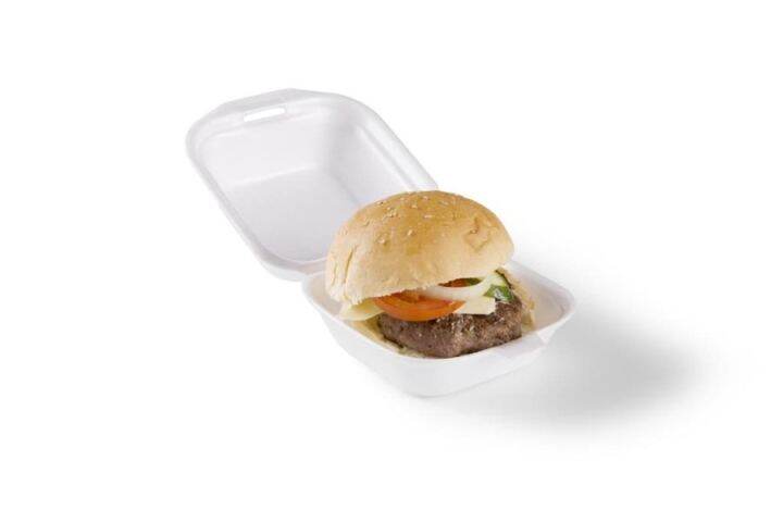 Kotak Burger / Tempat Burger Foam / Box Burger Foam | Lazada Indonesia