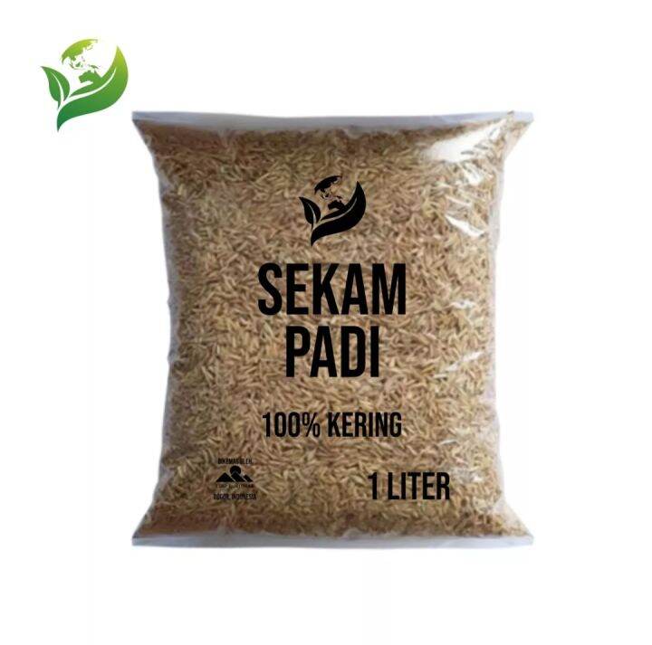 SEKAM PADI KERING ISI 1 LITER UNTUK MEDIA TANAM PARE GABAH ORGANIK ...