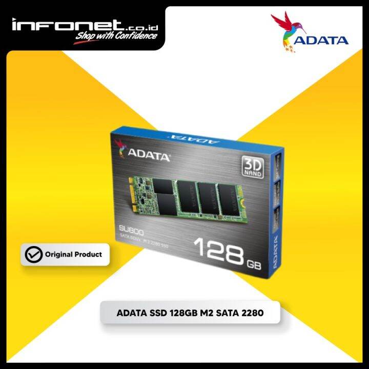ADATA SSD 128GB / 256GB / 512GB / 1TB M2 SATA 2280 SU800 | Lazada Indonesia