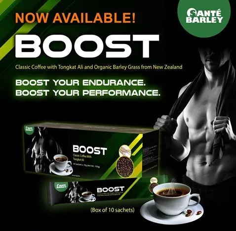 Sante Boost Coffee (15g x 10 Sachets) | Lazada PH