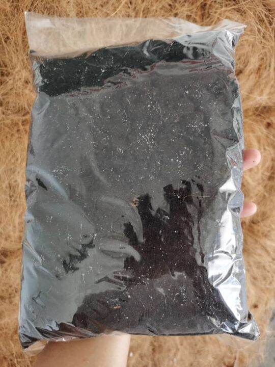 1KG PEAT MOSS Fine Grade Tanah Semaian / Medium Semaian / Seeding ...