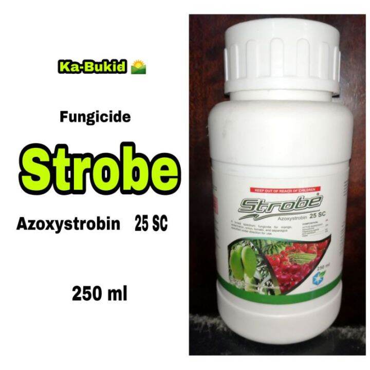 Strobe Azoxystrobin 25 SC (Fungicide) durable | Lazada PH