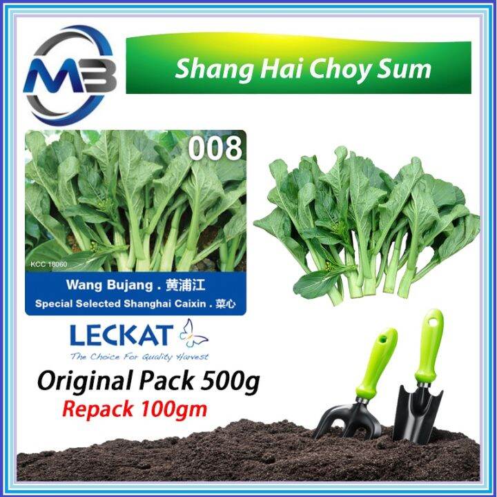 Sawi Hong Kong seeds choy sum Hong Kong 500g and Repack 100g 香港菜心种子 ...