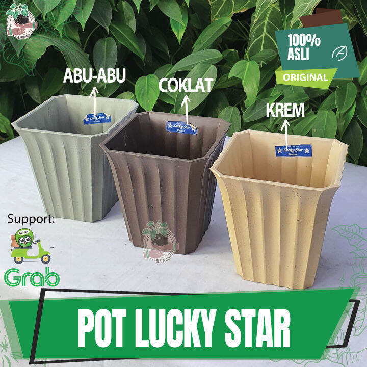 Varian Pot Luck Star Pot Tanaman Hias Original Cocok Untuk Tanaman Pot ...