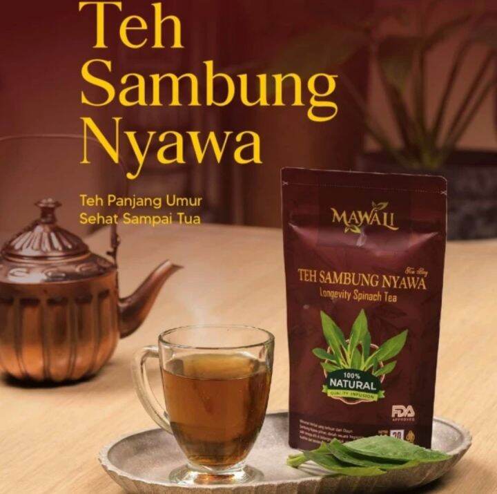 Mawali Teh Herbal Sambung Nyawa Longevity Spinach Tea | Lazada Indonesia