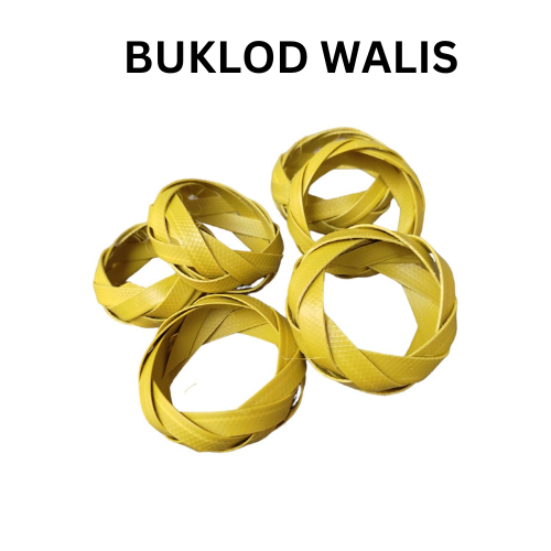 CLEAN AND GREEN 30 pcs PER PACK BUKLOD NG WALIS | Lazada PH