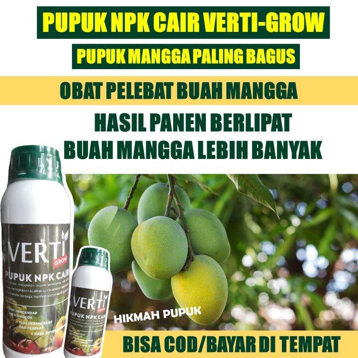 (PALING LARIS) PUPUK NPK VERTI-GROW OBAT ORGANIK PELEBAT MANGGA Biar Cepat Berbuah, Hasil Panen ...