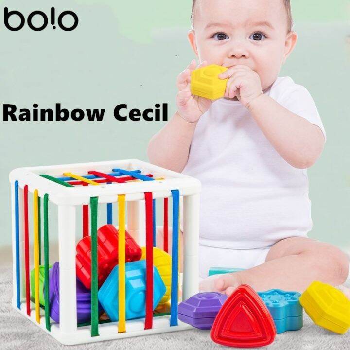 Rainbow Cecil Baby Grip Training Montessori Early Childhood Education ...