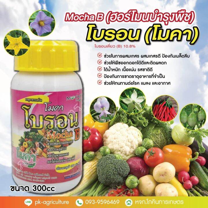Mocha B โบรอน(B) 10.8% (ฮอร์โมนบำรุงพืช) | Lazada.co.th