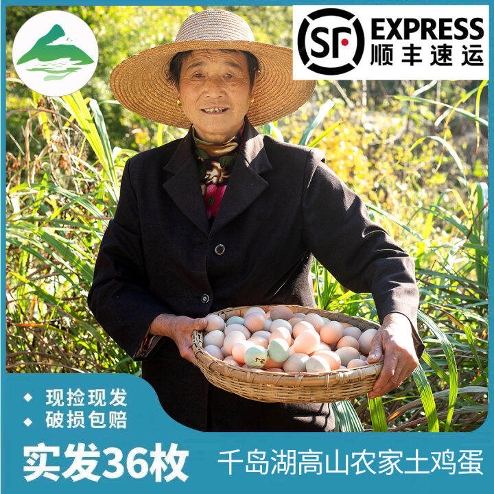 【SF】Authentic Farm Mountain Free-Range Native Egg Native Egg Qiandao ...