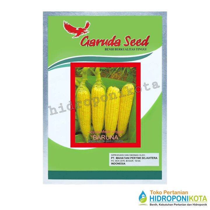 GS - benih JAGUNG MANIS BARUNA isi 50 gram - bibit jagung - garuda seed | Lazada Indonesia
