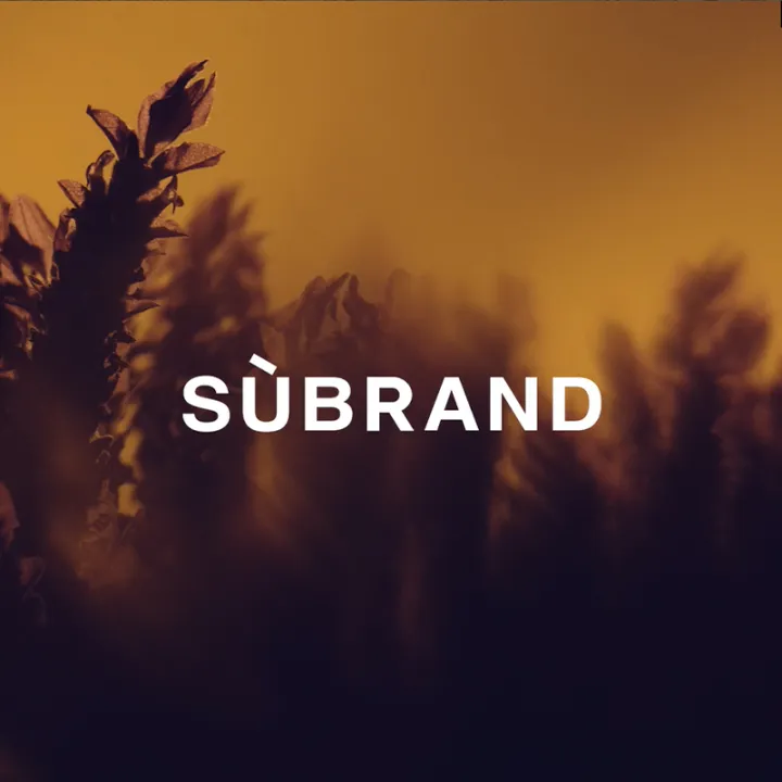 SUBRAND宿系之源 【茶树纯露】均衡水油舒缓痘肌补水保湿湿敷爽肤水300ml | Lazada PH