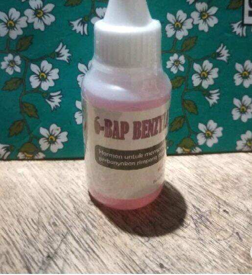 Hormon BAP. 6-BAP BENZYL AMINO PURIN 10.000 ppm 30 ml | Lazada Indonesia