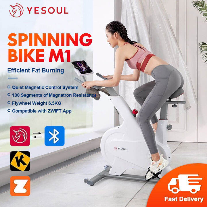 Xiaomi Yesoul M1 Spinning Bike stationary bike Magnetic System Indoor Exercise Fitness Bike ...
