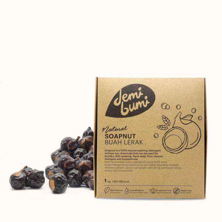 Buah Lerak / Natural Soap Nut | Lazada Indonesia