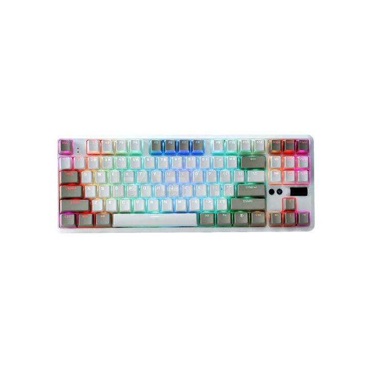 RAKK Lam-An Pro Wireless RGB Mechanical Gaming Keyboard Bluetooth 5.0 ...