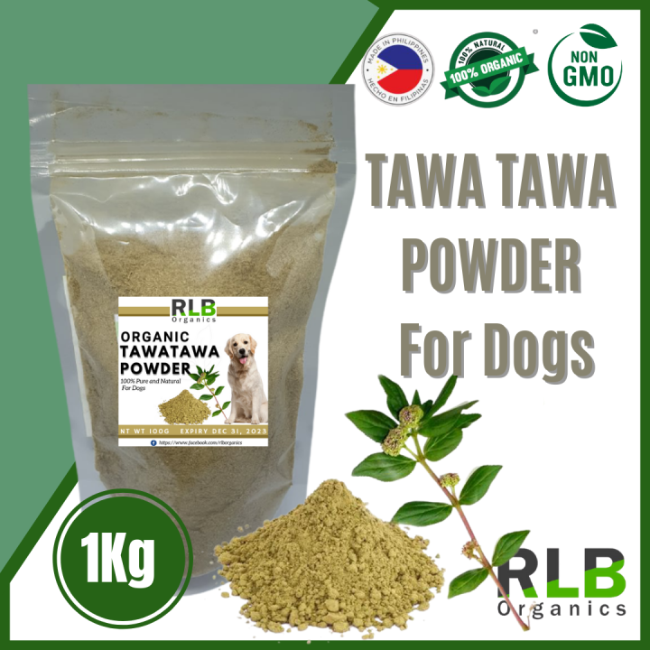 Tawa Tawa Powder for Dogs - Tawa Tawa Plant Powder for Dogs - Organic ...