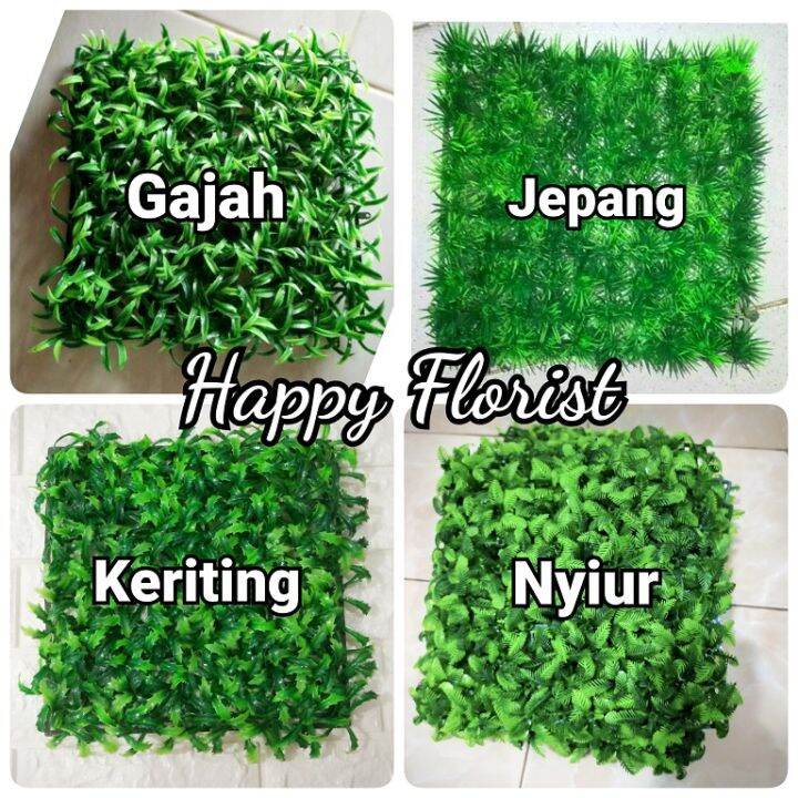 [HAPPY] Rumput Jepang / Rumput Gajah / Rumput Lenia / Rumput Nyiur ...