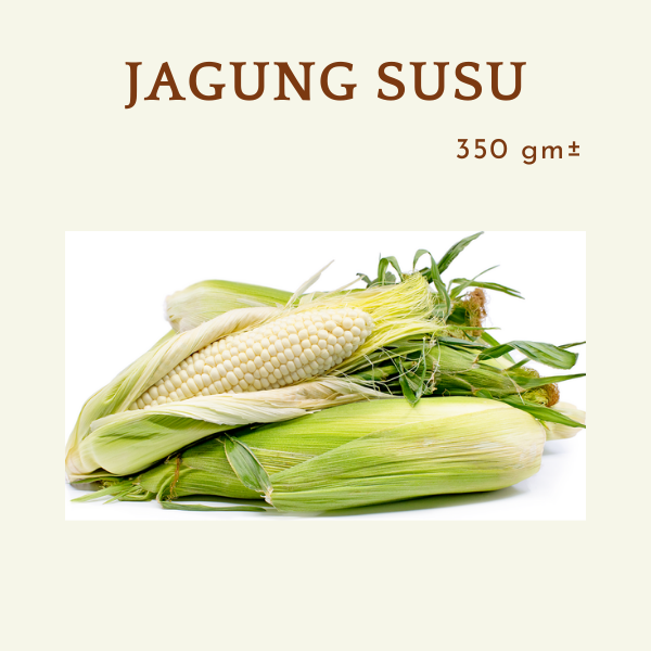 Fresh Jagung Susu Cameron Highlands 新鲜金马仑白珍珠玉米 (350g±) | Lazada
