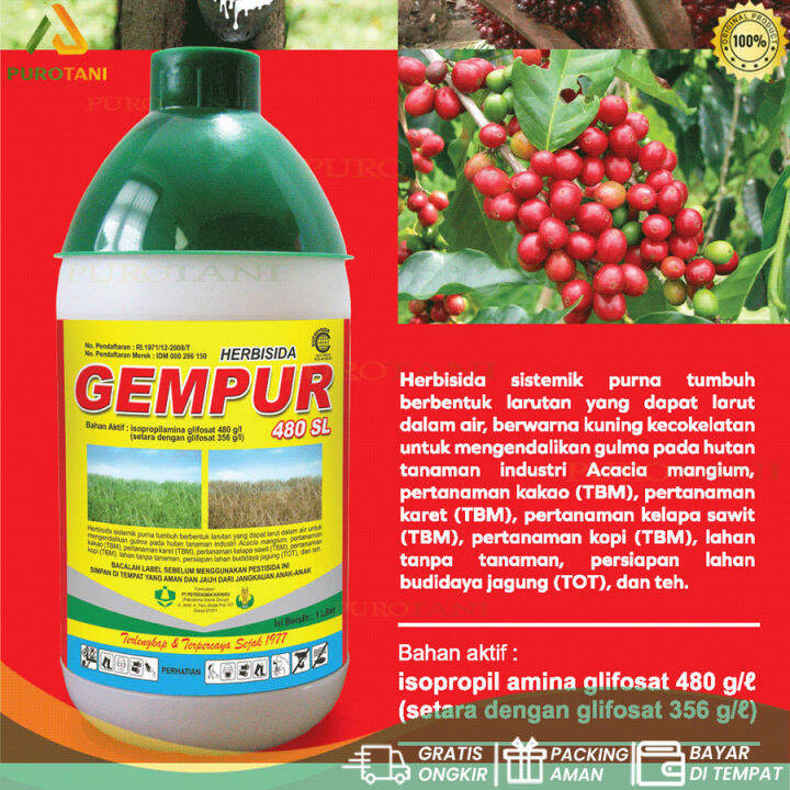 Pembasmi Rumput Liar Sistemik Herbisida GEMPUR 480SL 1 Liter | Lazada ...