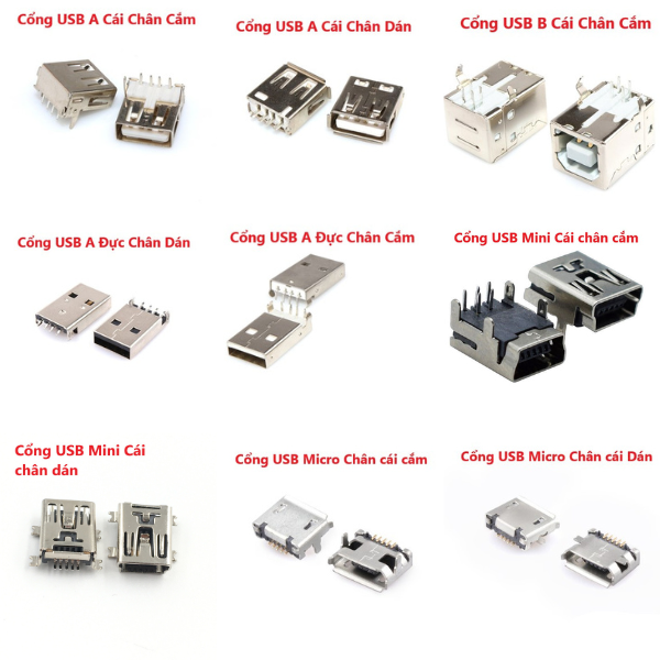 Gói 5 cổng USB A Cái chân cắm, chân dán, USB A đực, USB B cái cắm, USB Mini, USB Micro cái căm ...