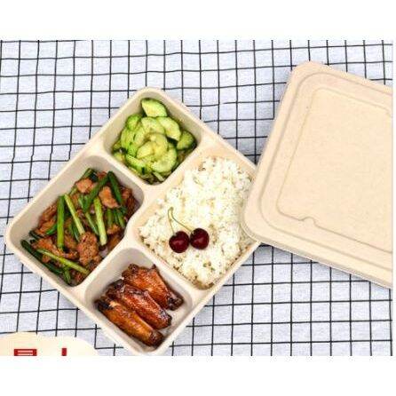 PH Based 3D/4D Sugarcane Pulp Bento Box Bagasse Food Container ...
