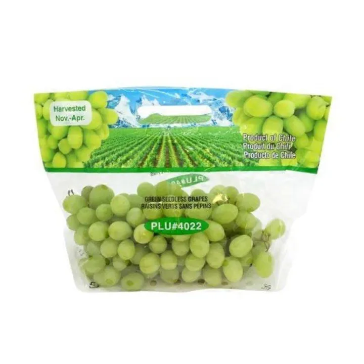 Imported Seedless IVORY Green Grapes (800g) | Lazada PH