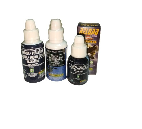 Reload Plus | Lazada PH: Buy sell online Bird Feed with cheap price ...