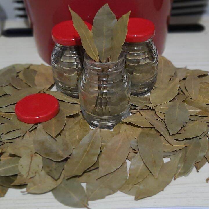bay leaf (dahon ng laurel) maliliit n buo | Lazada PH