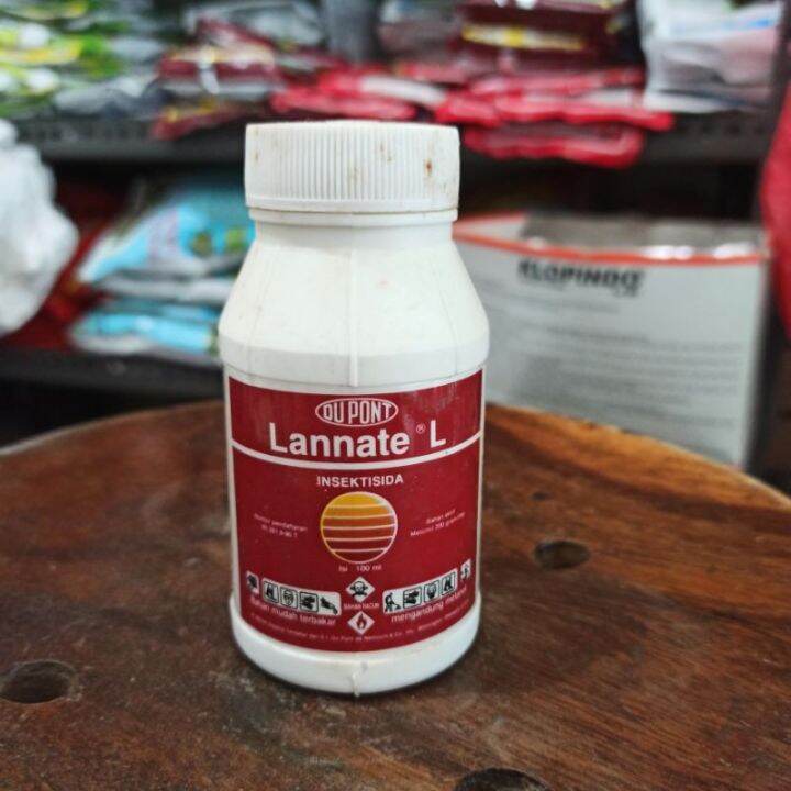 INSEKTISIDA LANNATE CAIR 100 ML | Lazada Indonesia