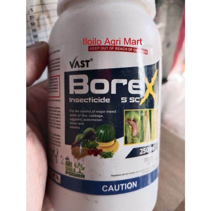 Borex Systemic Insecticide | Lazada PH