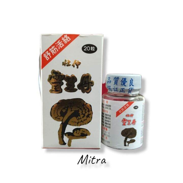 (jamur) Lin Chee Tan lin che tan / dan Jamur | Lazada Indonesia