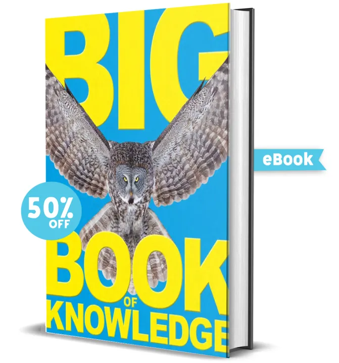 Braintalk PH | Big Book 0f Knowledge | Ebooks | Lazada PH